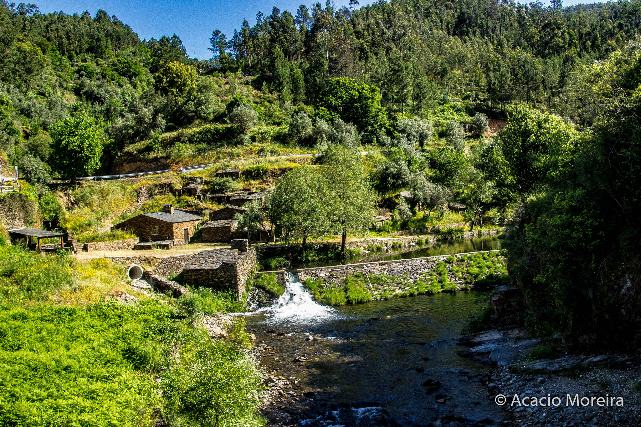 River Beaches - Zororo